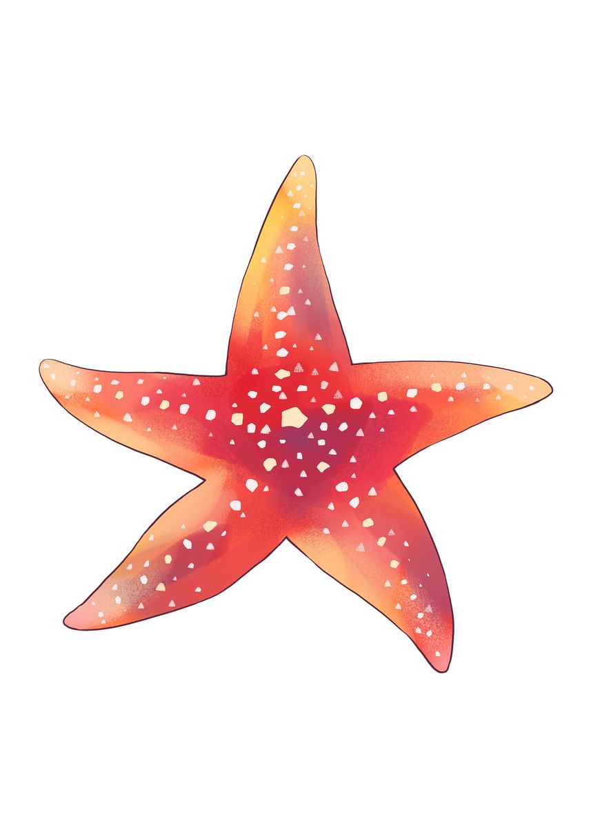 'Star Fish' Poster, picture, metal print, paint by Silver Oak Design ...