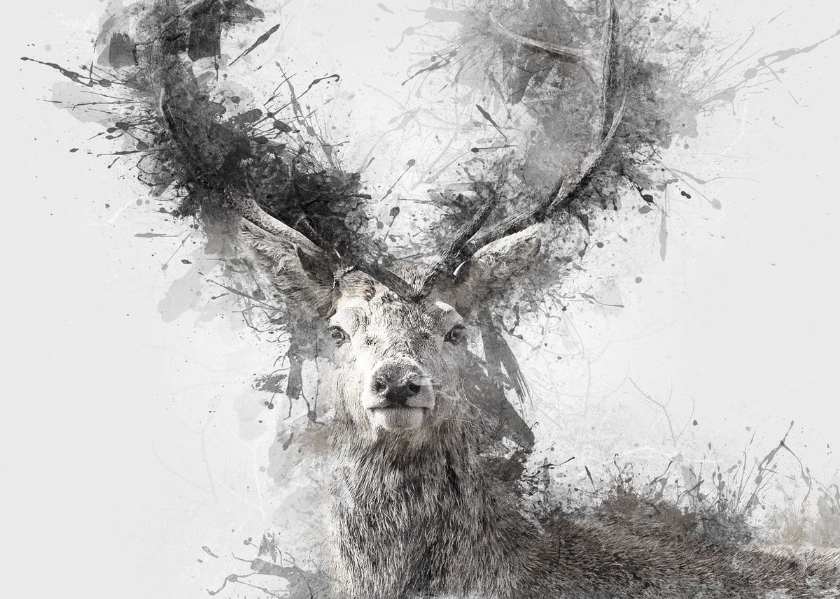 'Deer Ink' Poster by dmc 696 | Displate