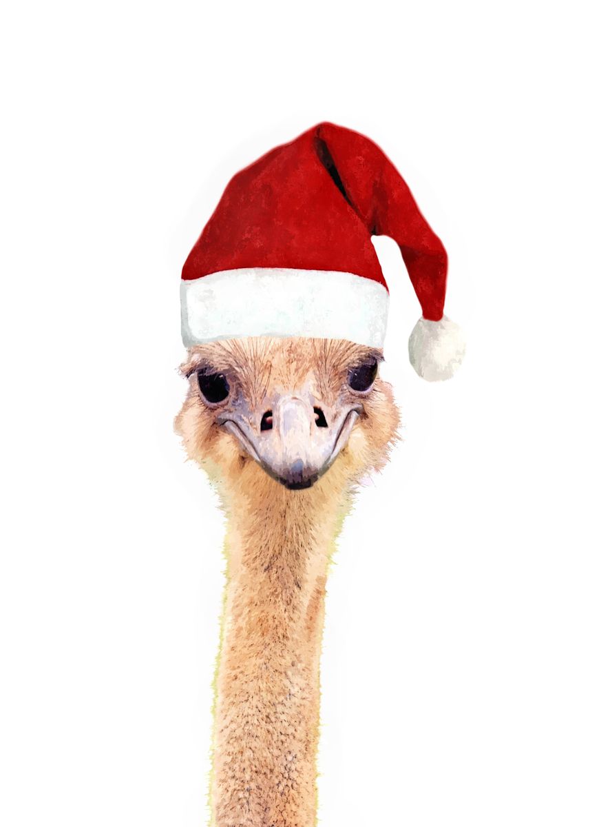 'Ostrich Christmas' Poster, picture, metal print, paint by Alemi Prints ...