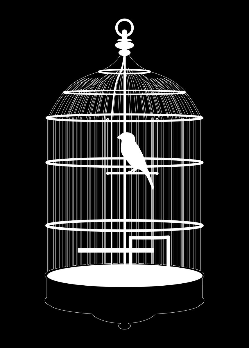 'bird cage' Poster, picture, metal print, paint by Terry LEE | Displate
