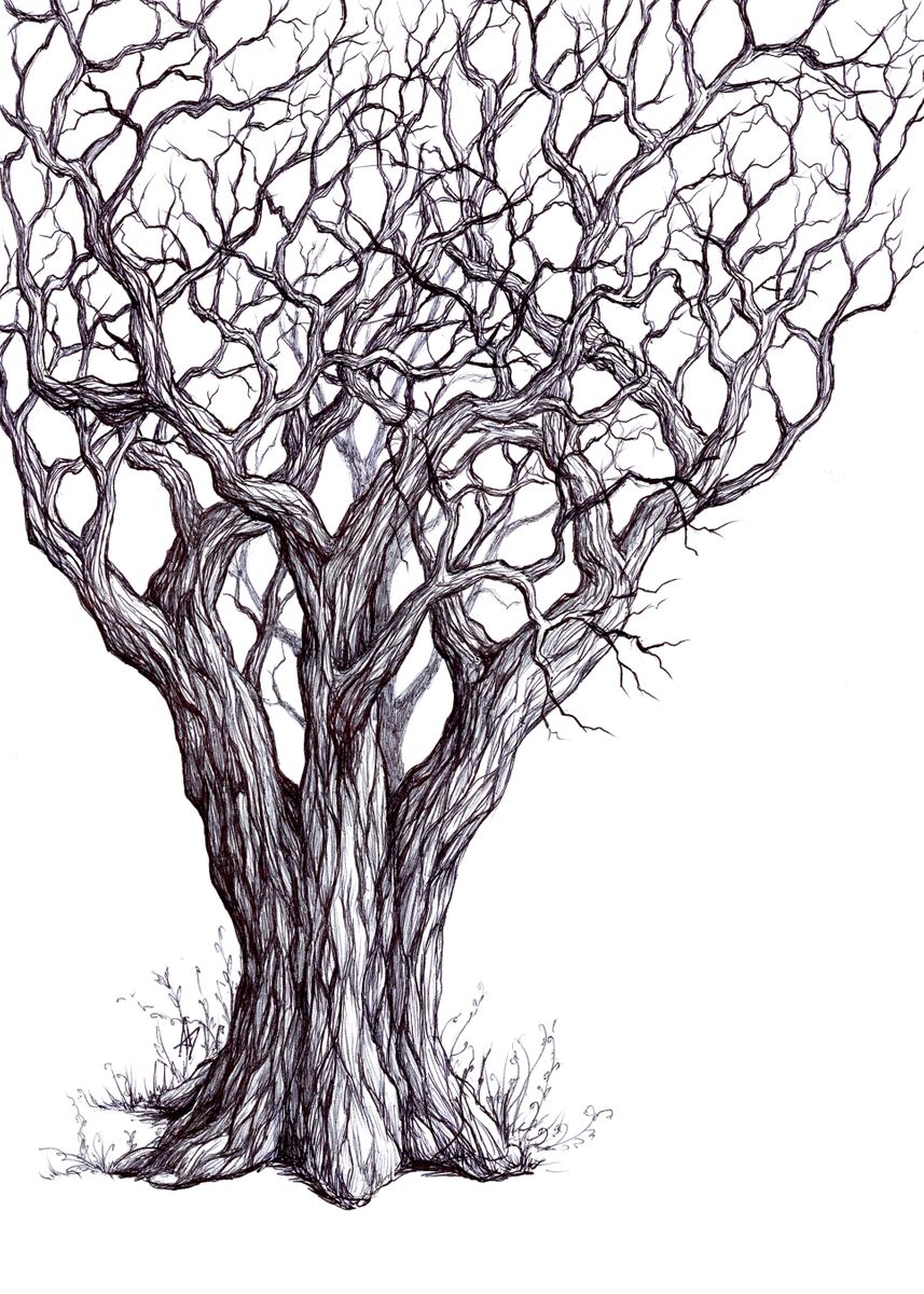 'Tangled Tree' Poster by Amanda Diehl | Displate