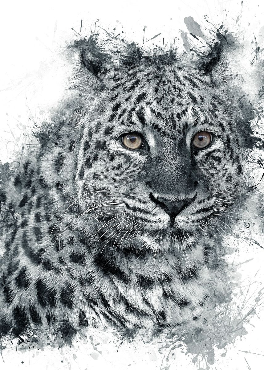 'Tiger Ink' Poster, picture, metal print, paint by dmc 696 | Displate