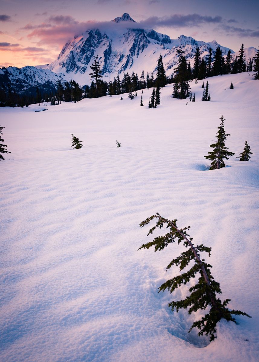 'Winter' Poster by Conceptual Photography | Displate