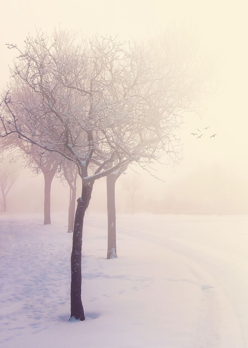 'Peaceful Winter Morning' Poster, picture, metal print, paint by ...