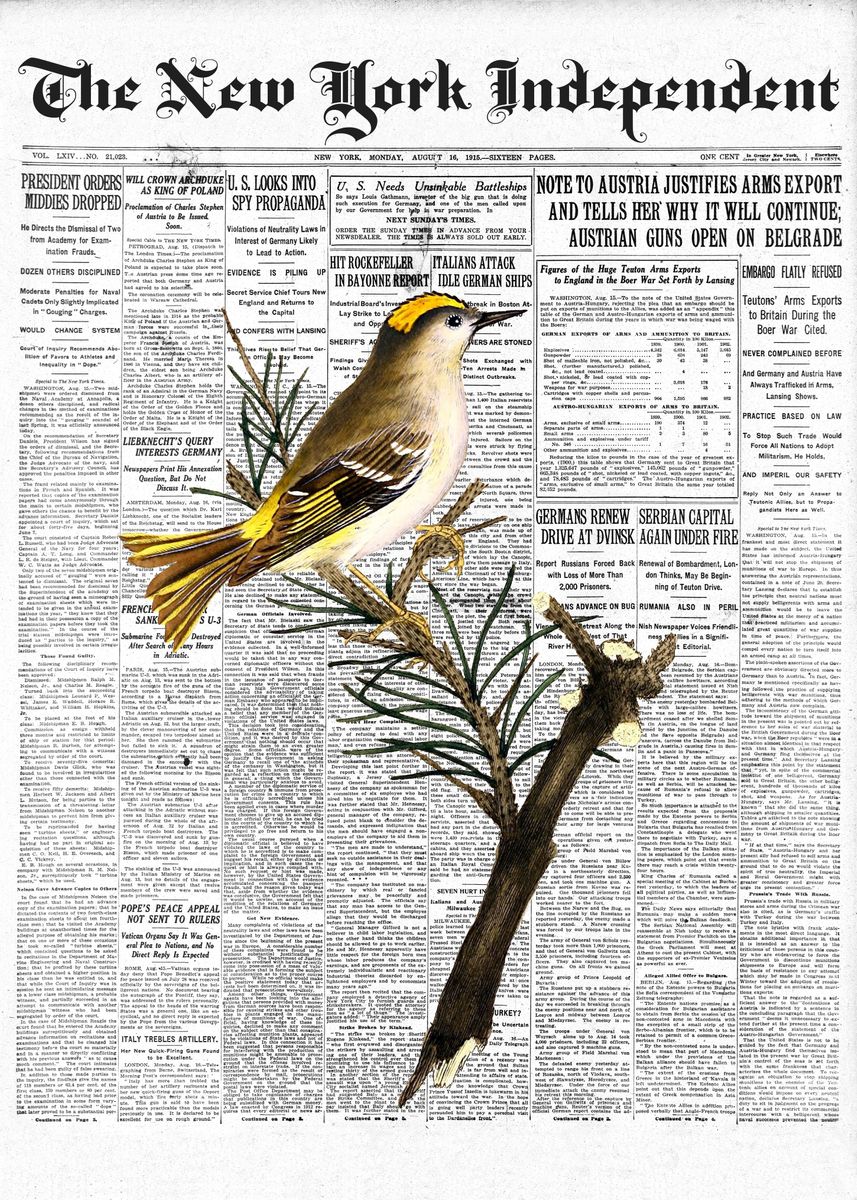'Golden Wren Bird Newspaper' Poster, picture, metal print, paint by ...