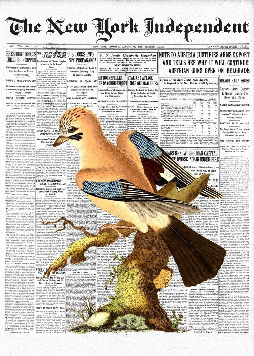 'Jay Bird Newspaper' Poster, picture, metal print, paint by Print Maker ...