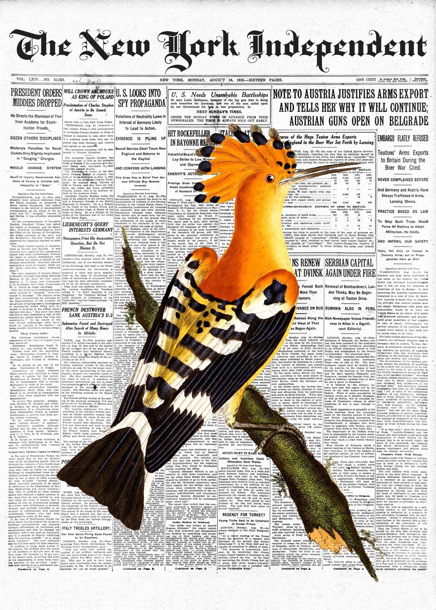 'Hopoe Bird Newspaper' Poster, picture, metal print, paint by Print ...