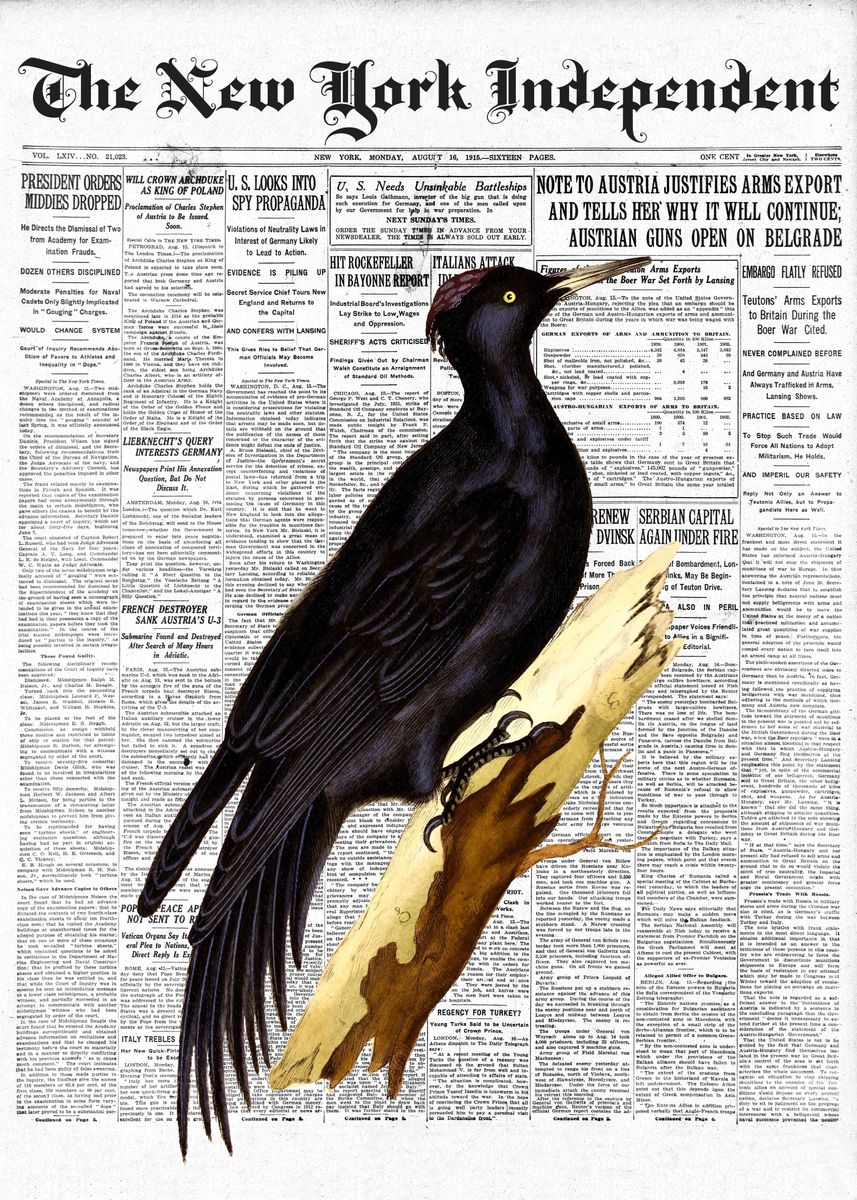 'Woodpecker Bird Newspaper' Poster by Print Maker | Displate