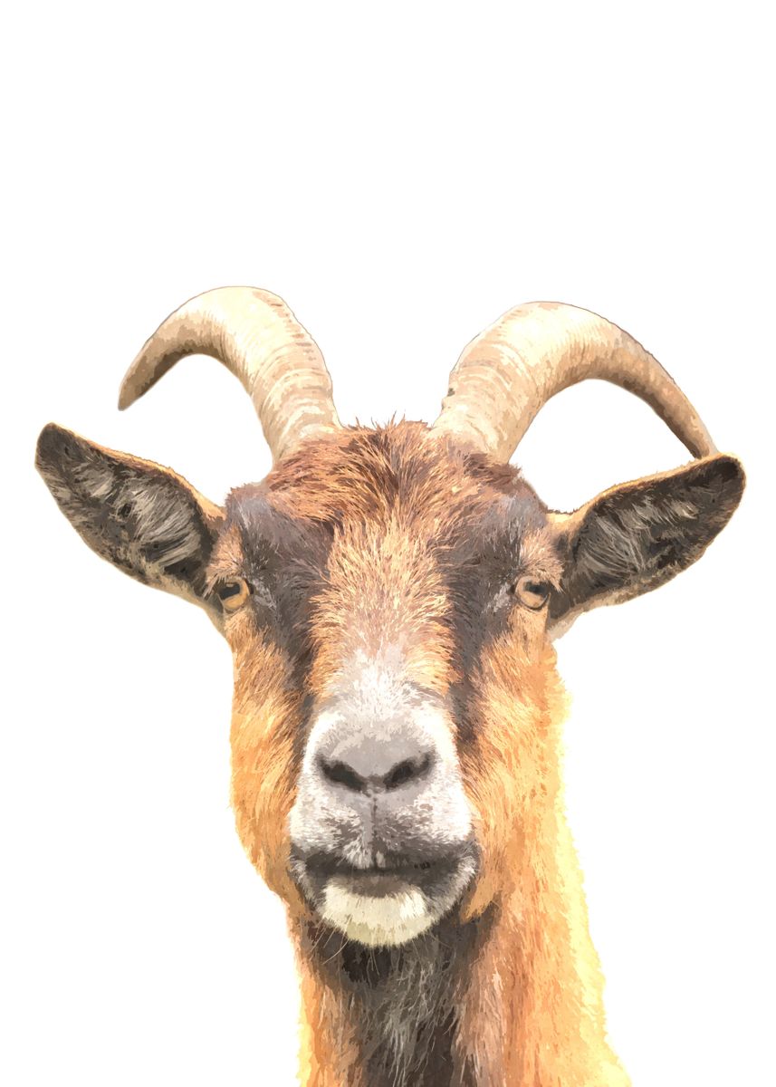 'Goat Portrait' Poster, picture, metal print, paint by Alemi Prints ...