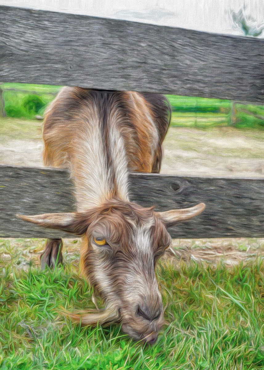 'Rude Billy Goat' Poster, picture, metal print, paint by Joyce Steele ...