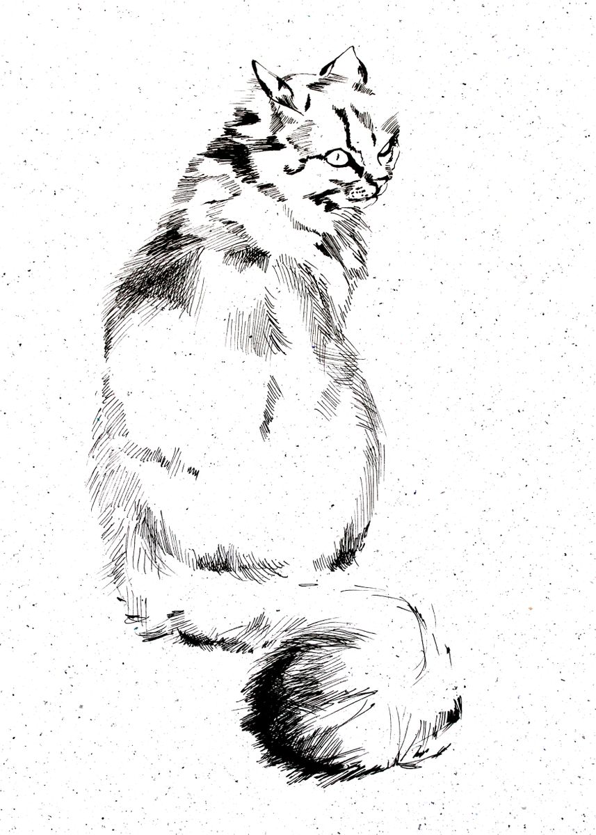 'CAT' Poster, picture, metal print, paint by Silva Stirna | Displate