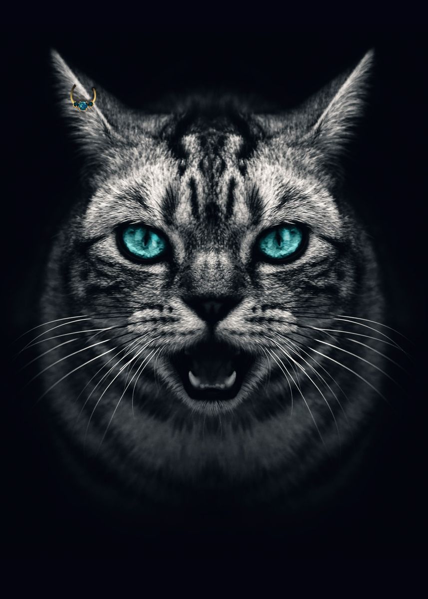 'CAT portrait ' Poster, picture, metal print, paint by mk studio | Displate