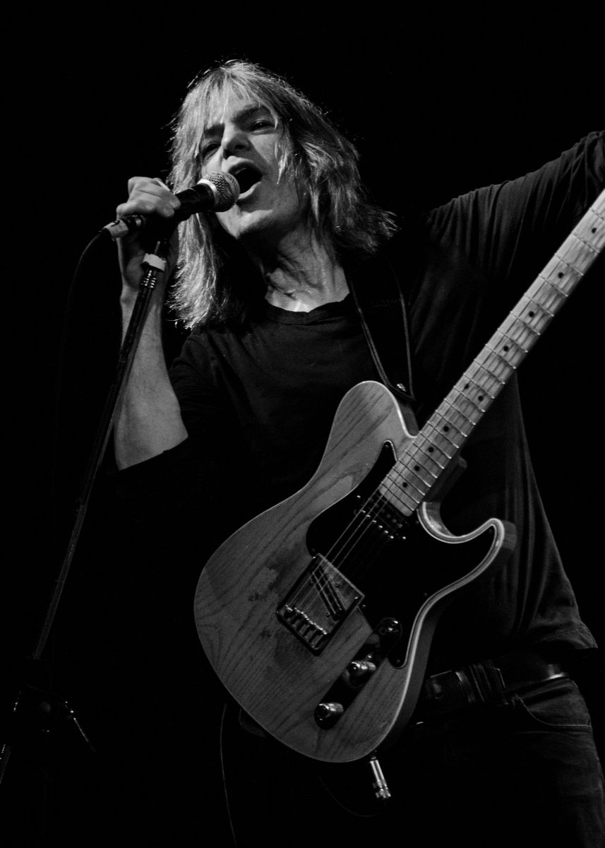 'Mike Stern' Poster, picture, metal print, paint by Felix Padrosa ...