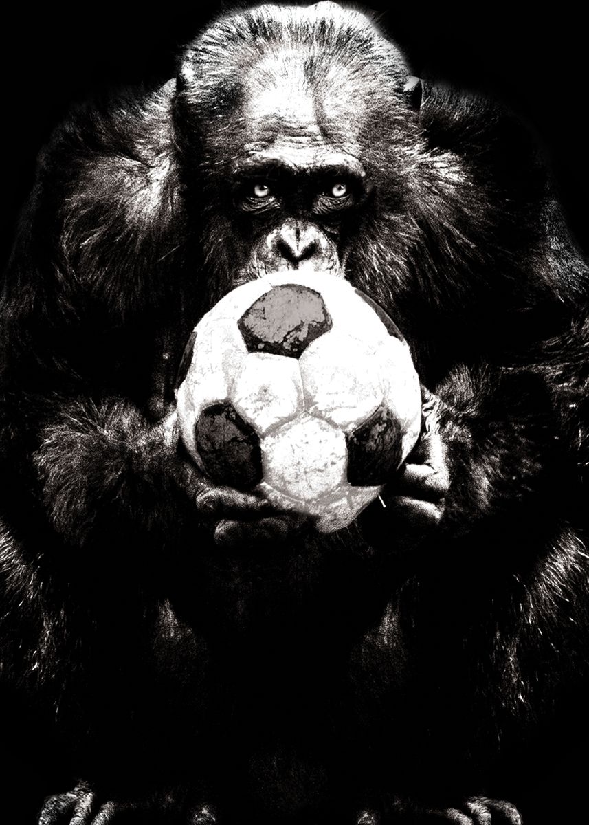 'Soccer Chimp' Poster, picture, metal print, paint by NiBi Prints ...
