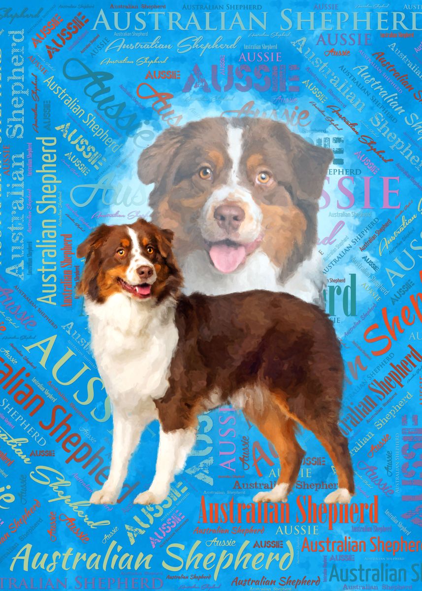 'Australian Shepherd ' Poster, picture, metal print, paint by Lioudmila ...