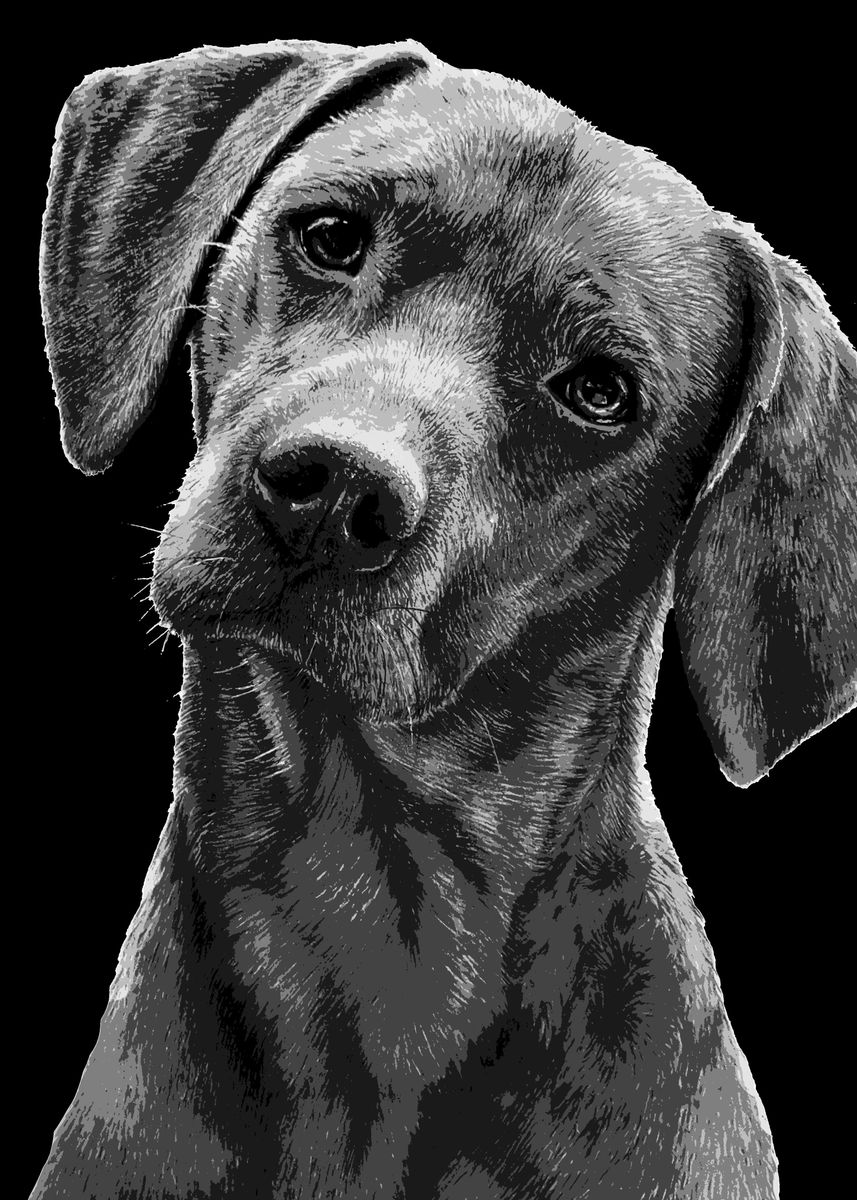 'Dog posterized ' Poster by chloe harrison | Displate