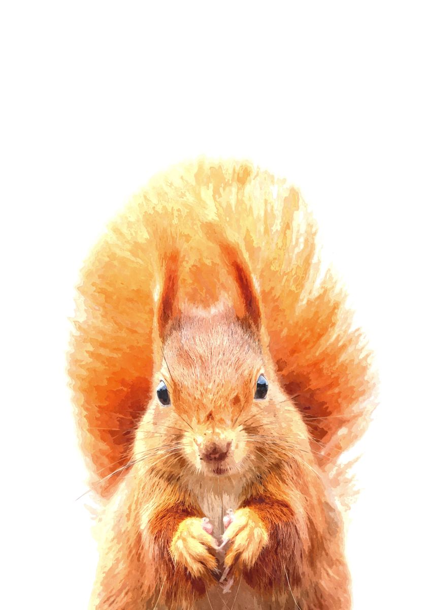 'Squirrel Portrait' Poster by Alemi Prints | Displate