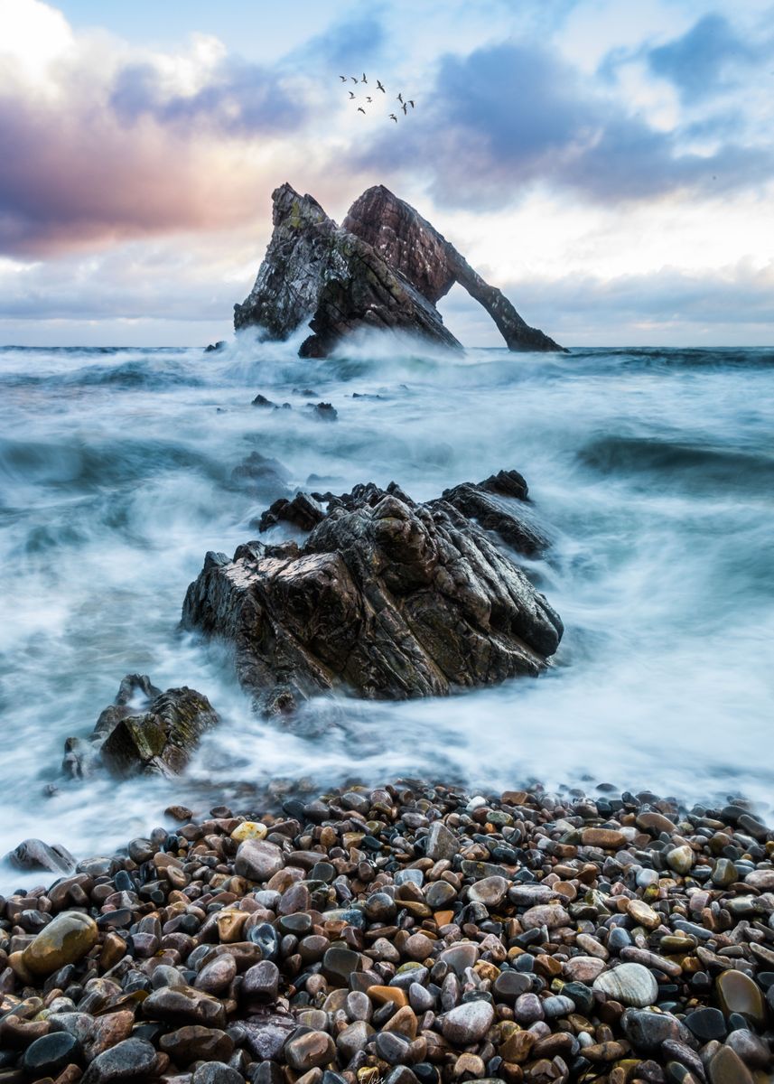 'Bow Fiddle' Poster, picture, metal print, paint by Elvis Bogdanovs ...
