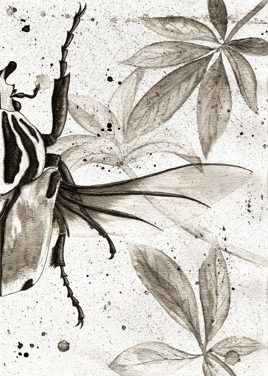 'Goliath Beetle Watercolour' Poster, picture, metal print, paint by ...