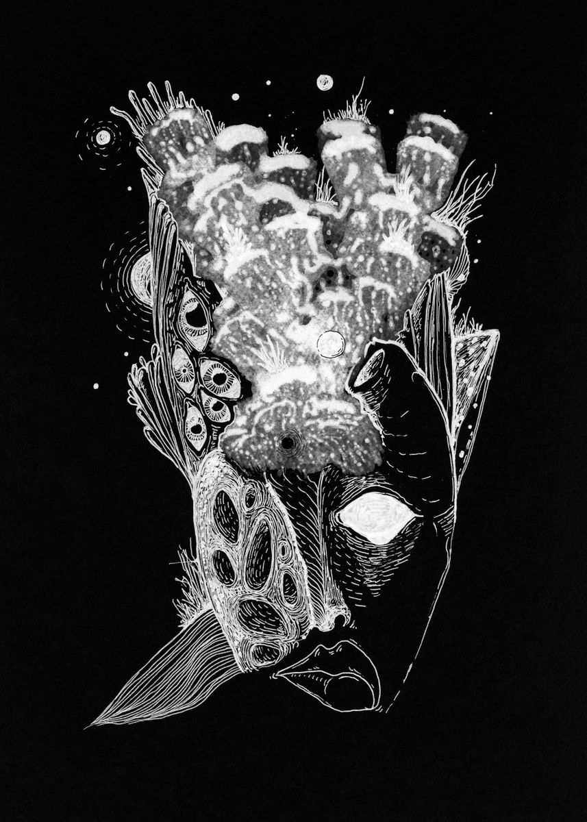 'The truth' Poster by Stephen Alvas | Displate