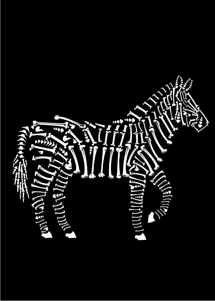 'Zebra Bones' Poster, picture, metal print, paint by Ehab Shehadeh ...