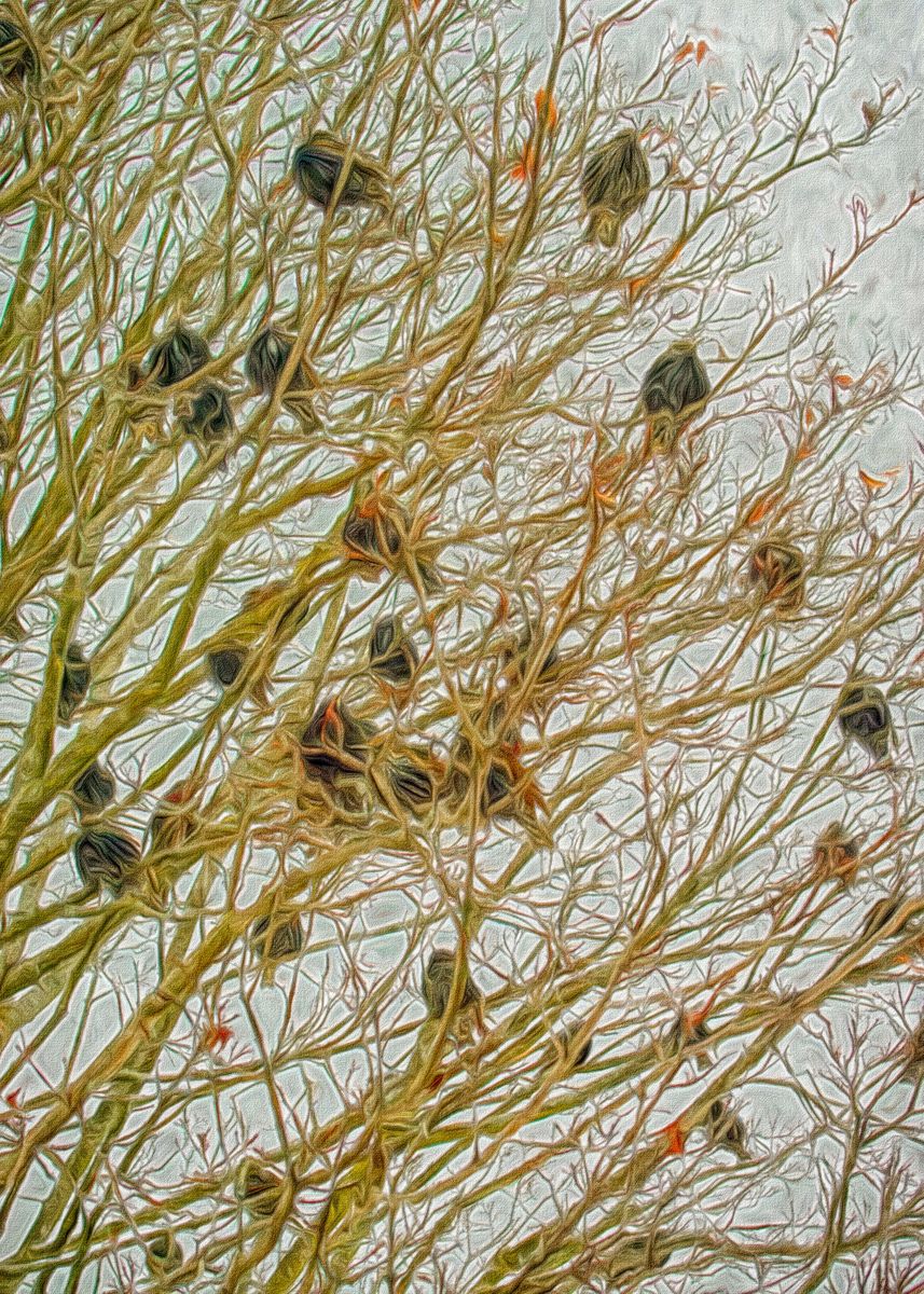 'Flock of Sterlings' Poster, picture, metal print, paint by Joyce ...