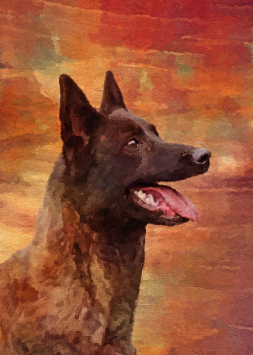 'Dutch Shepherd Dutchie' Poster, picture, metal print, paint by ...