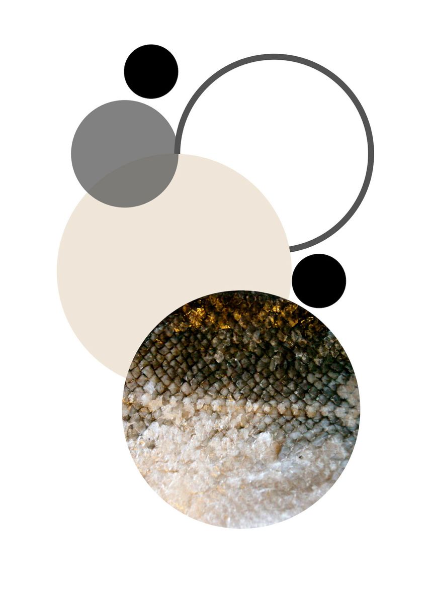 'Sphere snake skin' Poster, picture, metal print, paint by EKGH ...