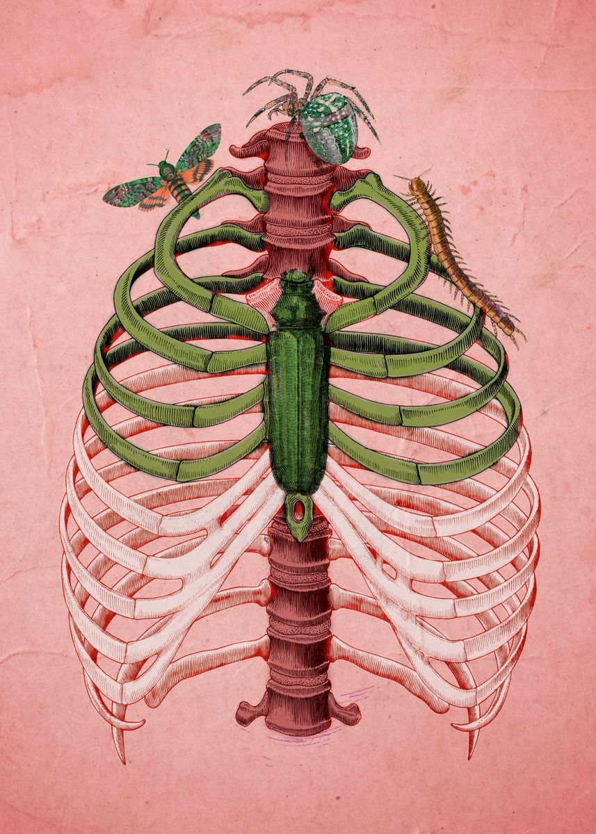 'Beetle bug torso' Poster by Ana Vlajcevic | Displate