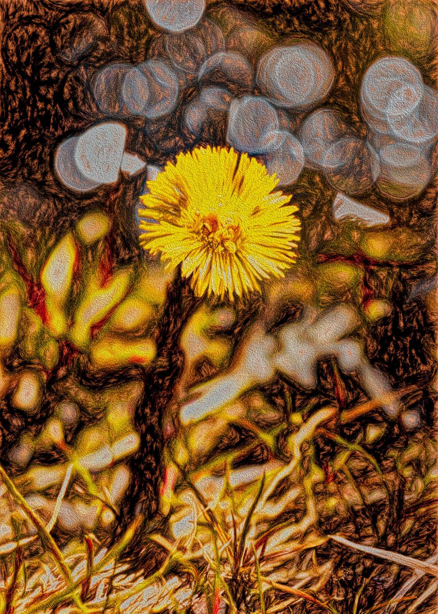 'Yellow Flower' Poster by Joyce Steele | Displate