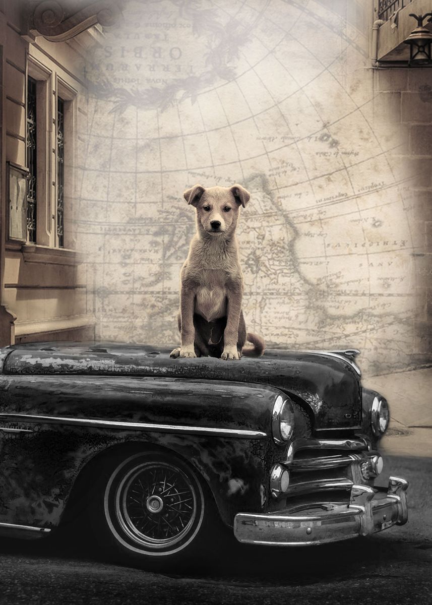 'dog and retro car' Poster, picture, metal print, paint by Andrii ...