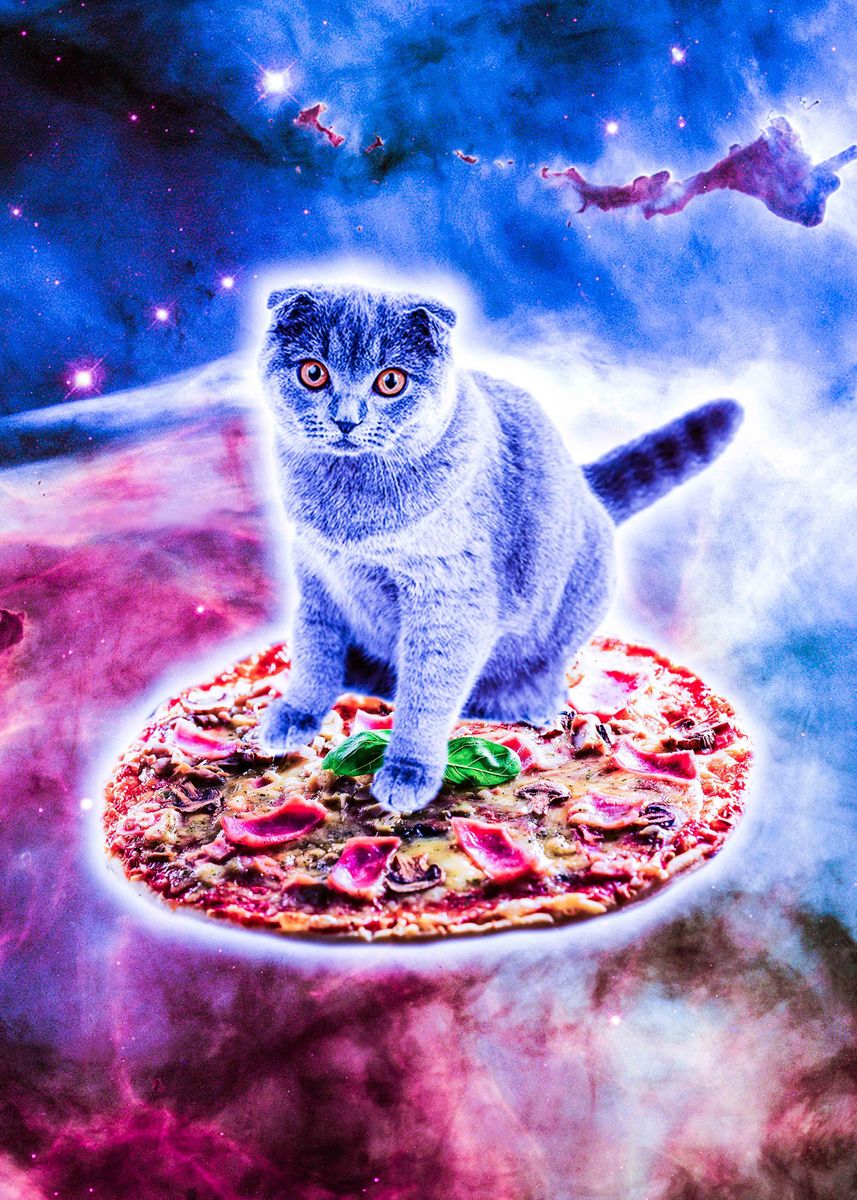 'Cat Riding Pizza In Space' Poster, picture, metal print, paint by ...