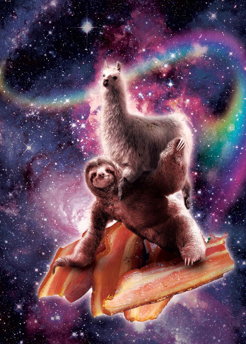 ' Llama On Sloth Bacon' Poster, picture, metal print, paint by Random ...