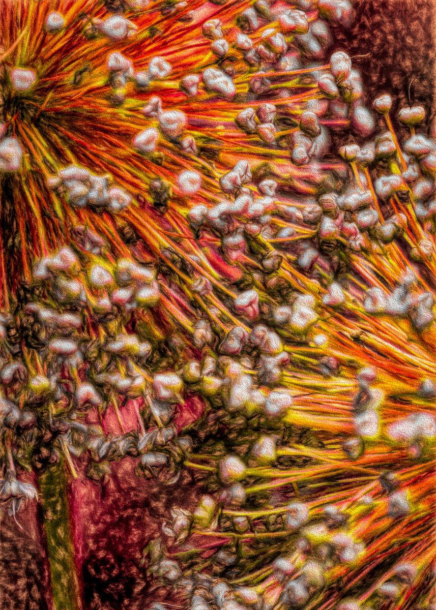 'Flower Explosion' Poster, picture, metal print, paint by Joyce Steele ...