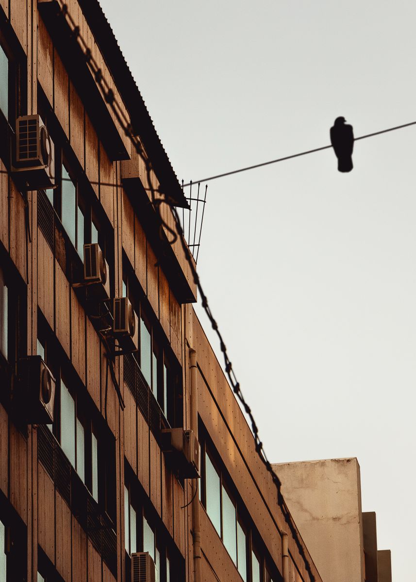 'Urban Bywatcher ' Poster, picture, metal print, paint by John ...