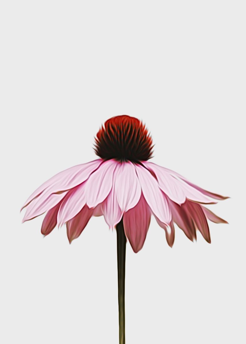 'Single Pink Flower' Poster, picture, metal print, paint by Alemi ...