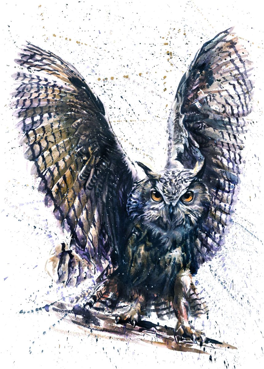 'Owl watercolor' Poster, picture, metal print, paint by Konstantin ...