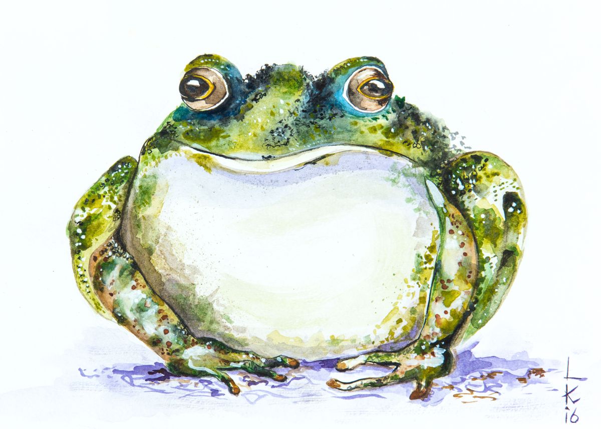 'Toad' Poster by Vladyslav Durniev | Displate