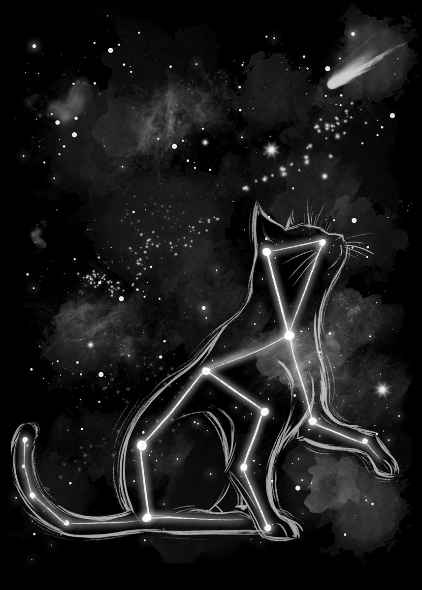 'Starry cat' Poster by Daisj Ingrosso | Displate
