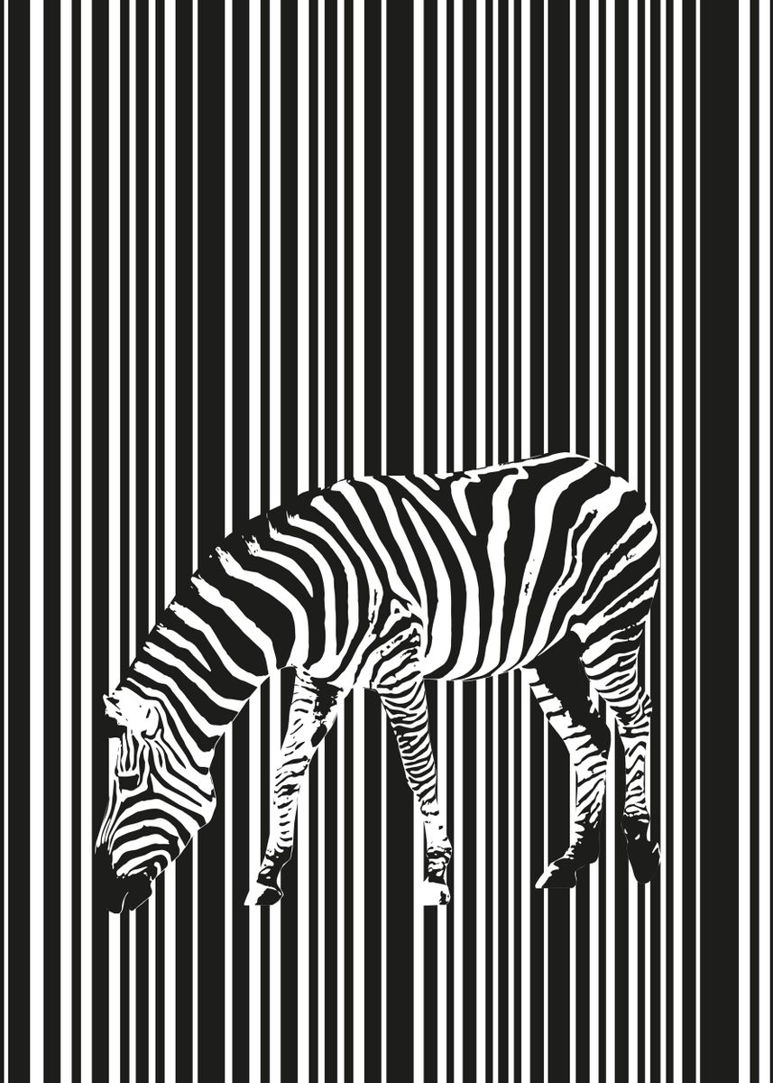 'Zebra stripes' Poster, picture, metal print, paint by Bianca Wisseloo ...