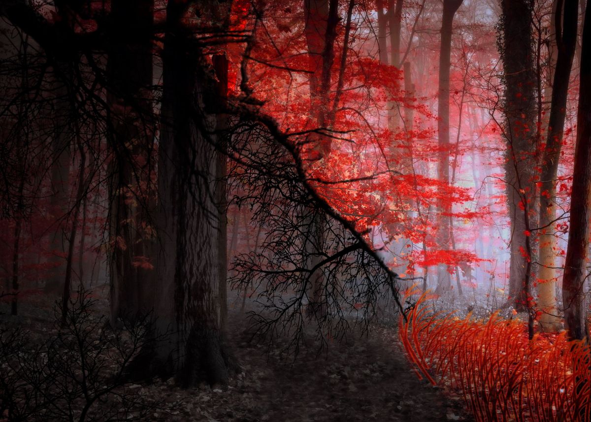 'Two Worlds' Poster by Rebeca Zhang | Displate