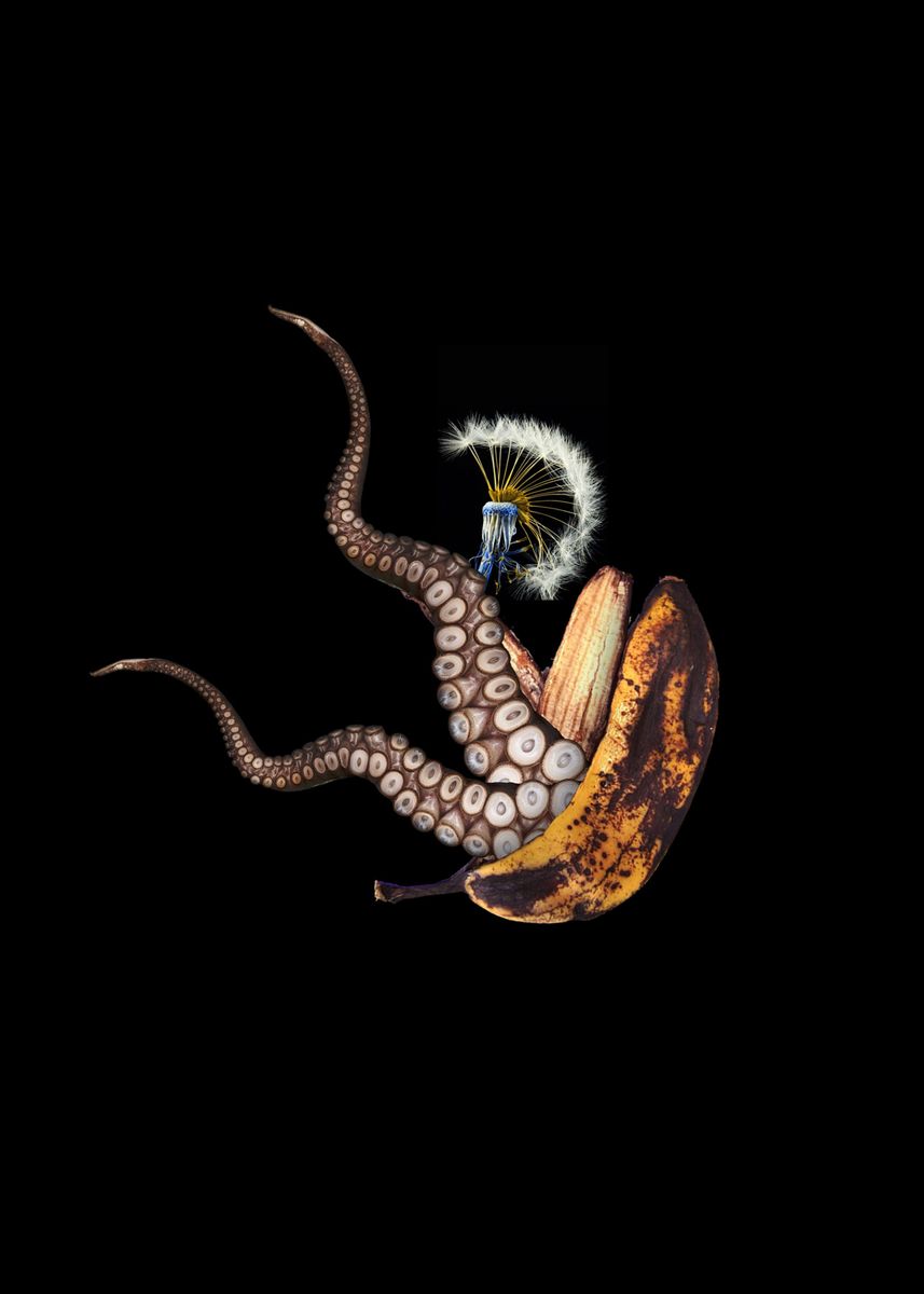 'Octonana' Poster, picture, metal print, paint by Jared Hurwitz | Displate