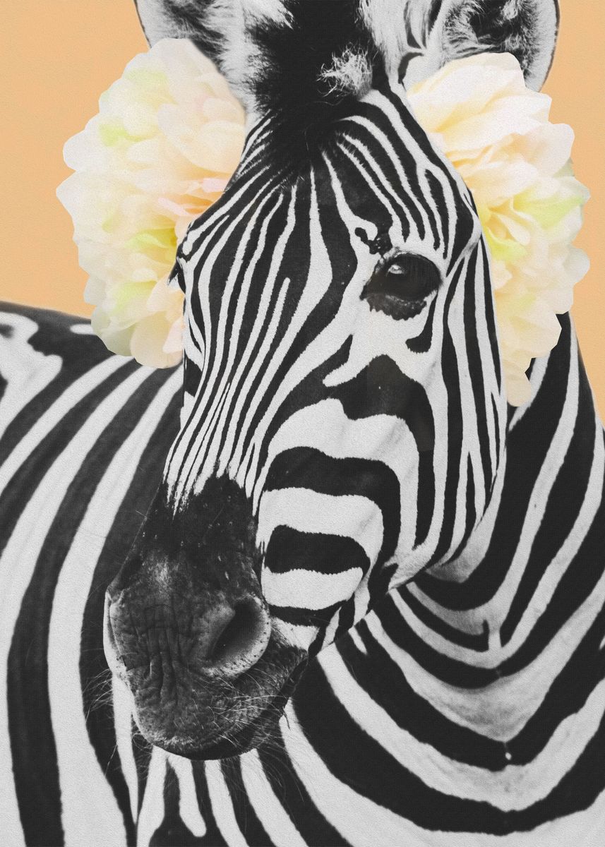 'Debra the Zebra' Poster, picture, metal print, paint by Donna Carter ...