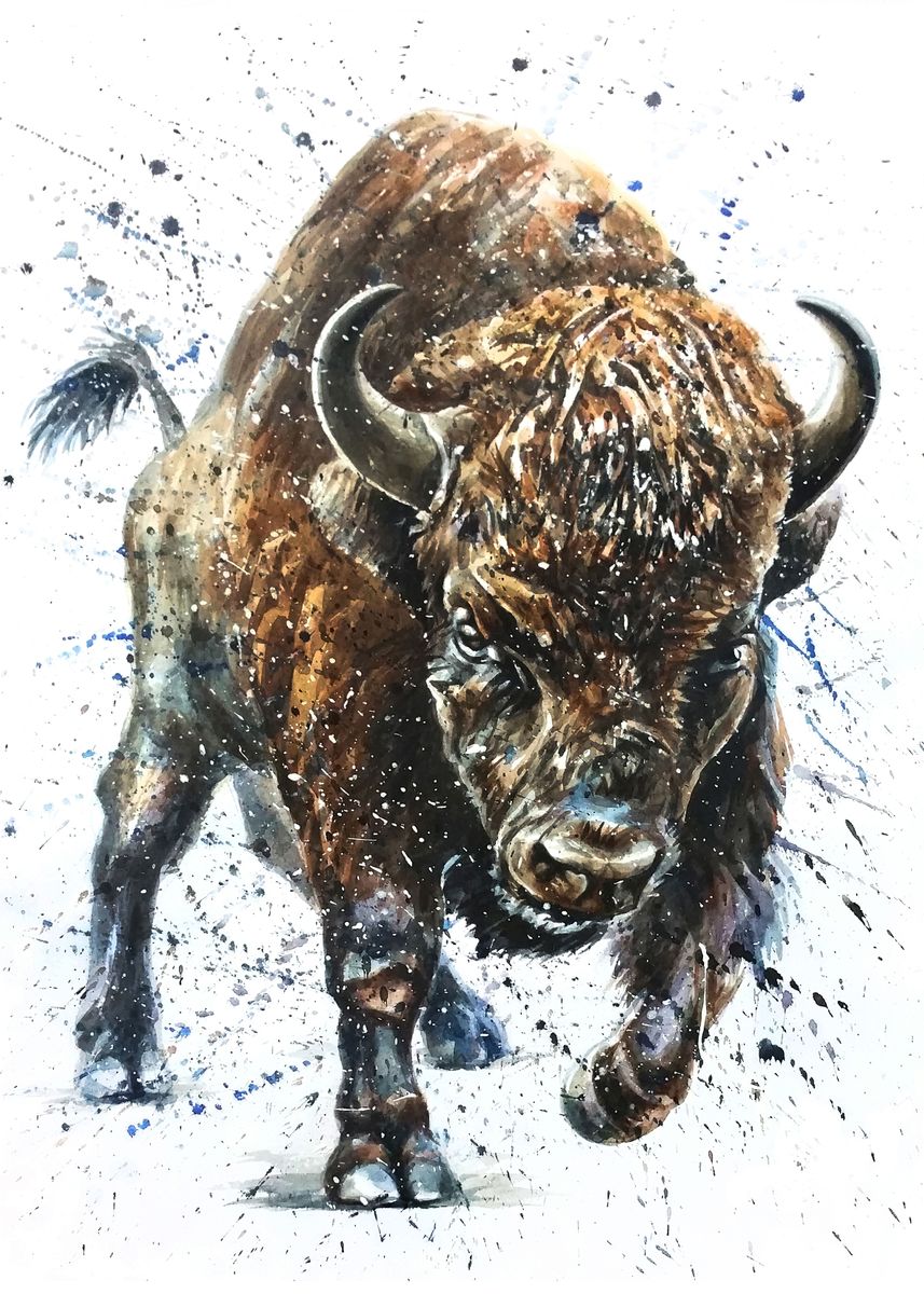 'Buffalo watercolor' Poster, picture, metal print, paint by Konstantin ...