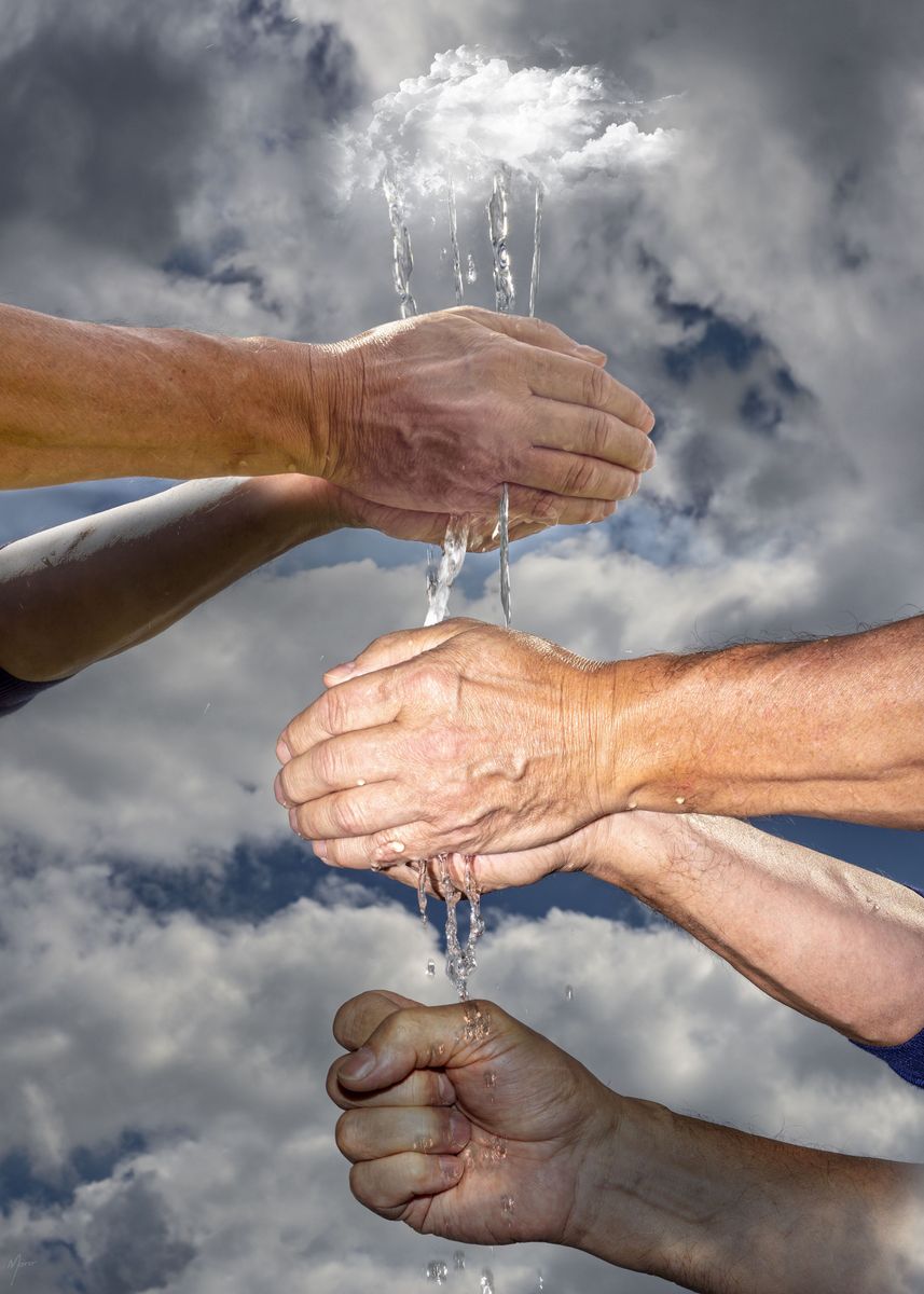 'Plenty for Everyone' Poster, picture, metal print, paint by DAVID ...