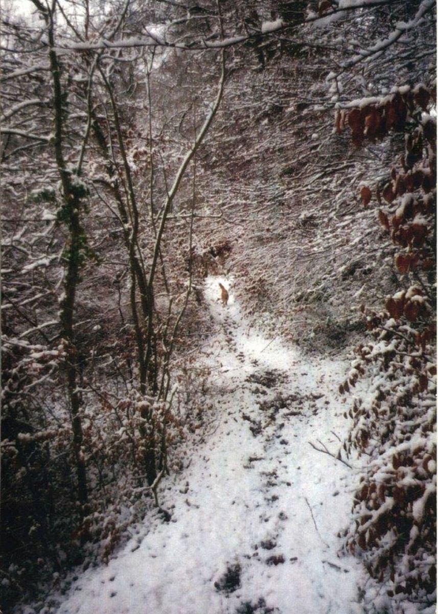 'Hidden Drive No 1' Poster, picture, metal print, paint by Mr H N ...