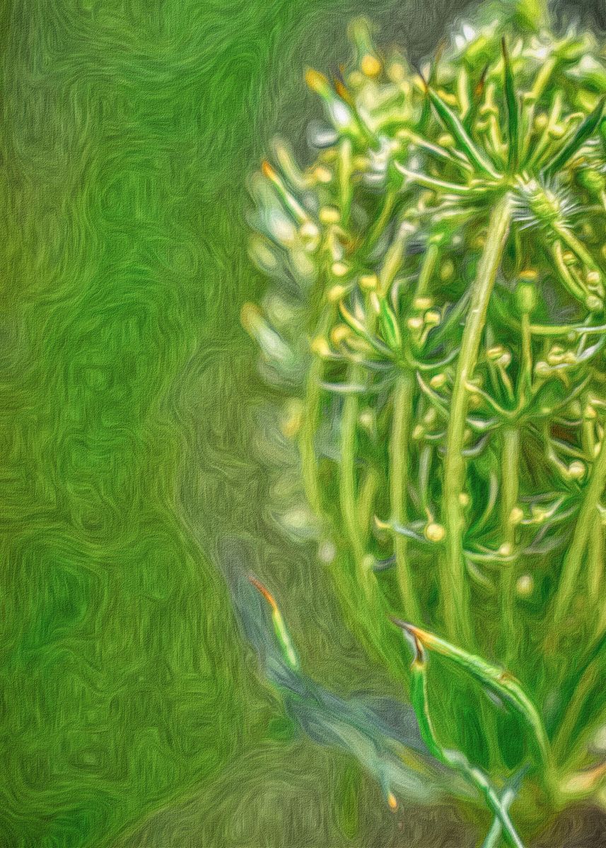 'Ready to Bloom' Poster by Joyce Steele | Displate