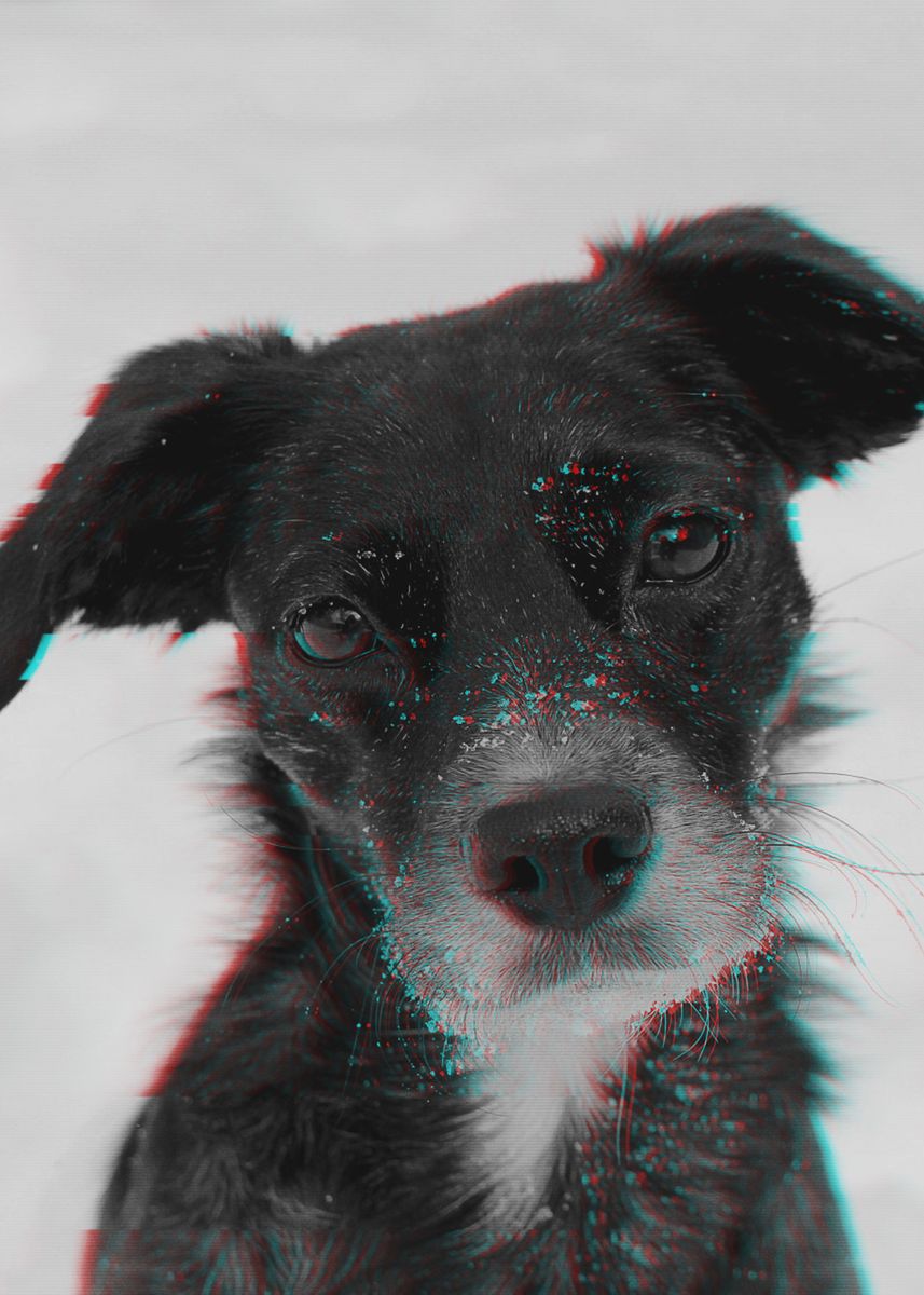 'Dog Glitch' Poster, picture, metal print, paint by night vision | Displate