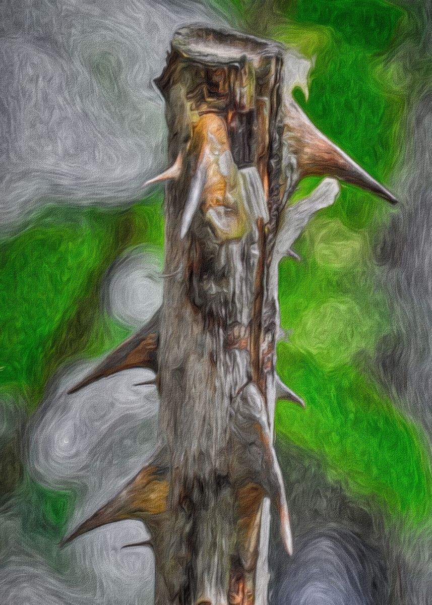 'Old Rose Stem and Thorns' Poster by Joyce Steele | Displate