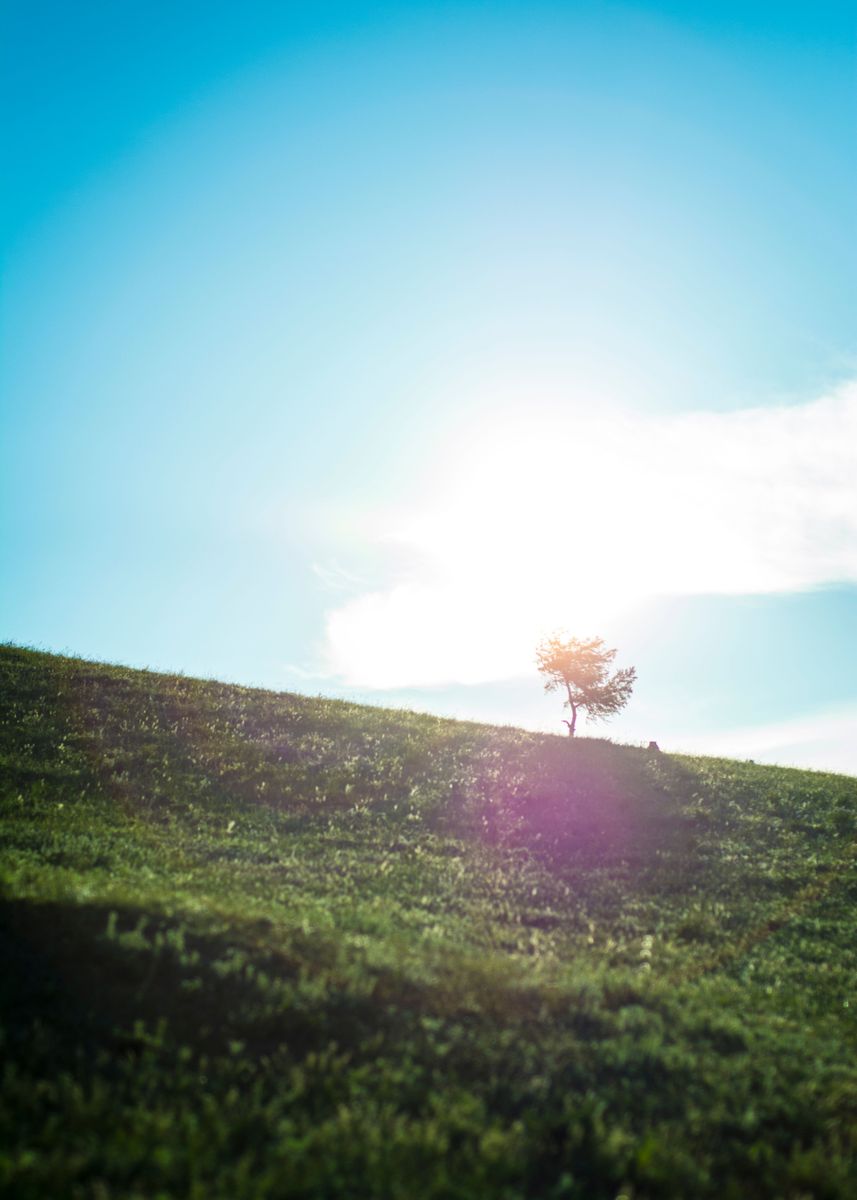 'Beautiful world' Poster, picture, metal print, paint by Bilguun ...